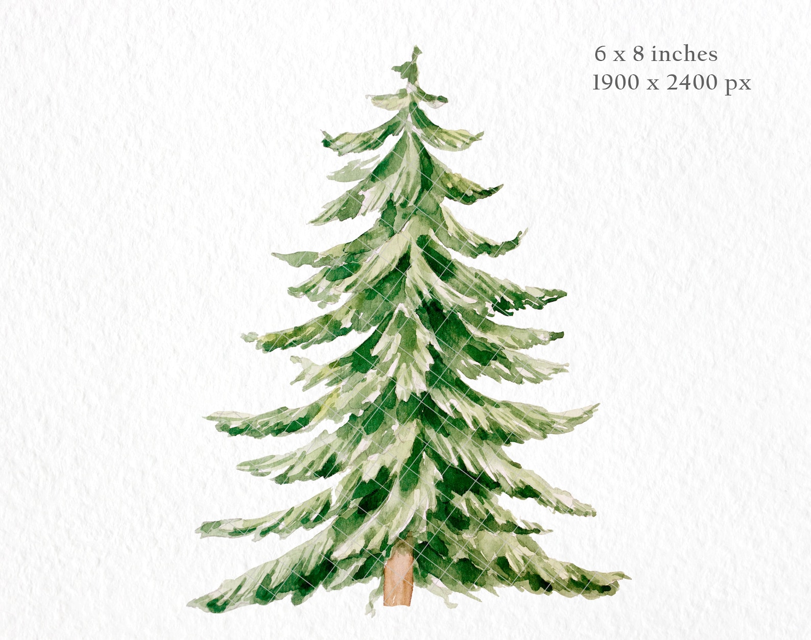 Watercolor Christmas Tree Clipart PNG Winter Holiday Clipart - Etsy
