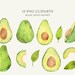 Watercolor Avocado Clipart, PNG Digital File, Green Food, INSTANT ...