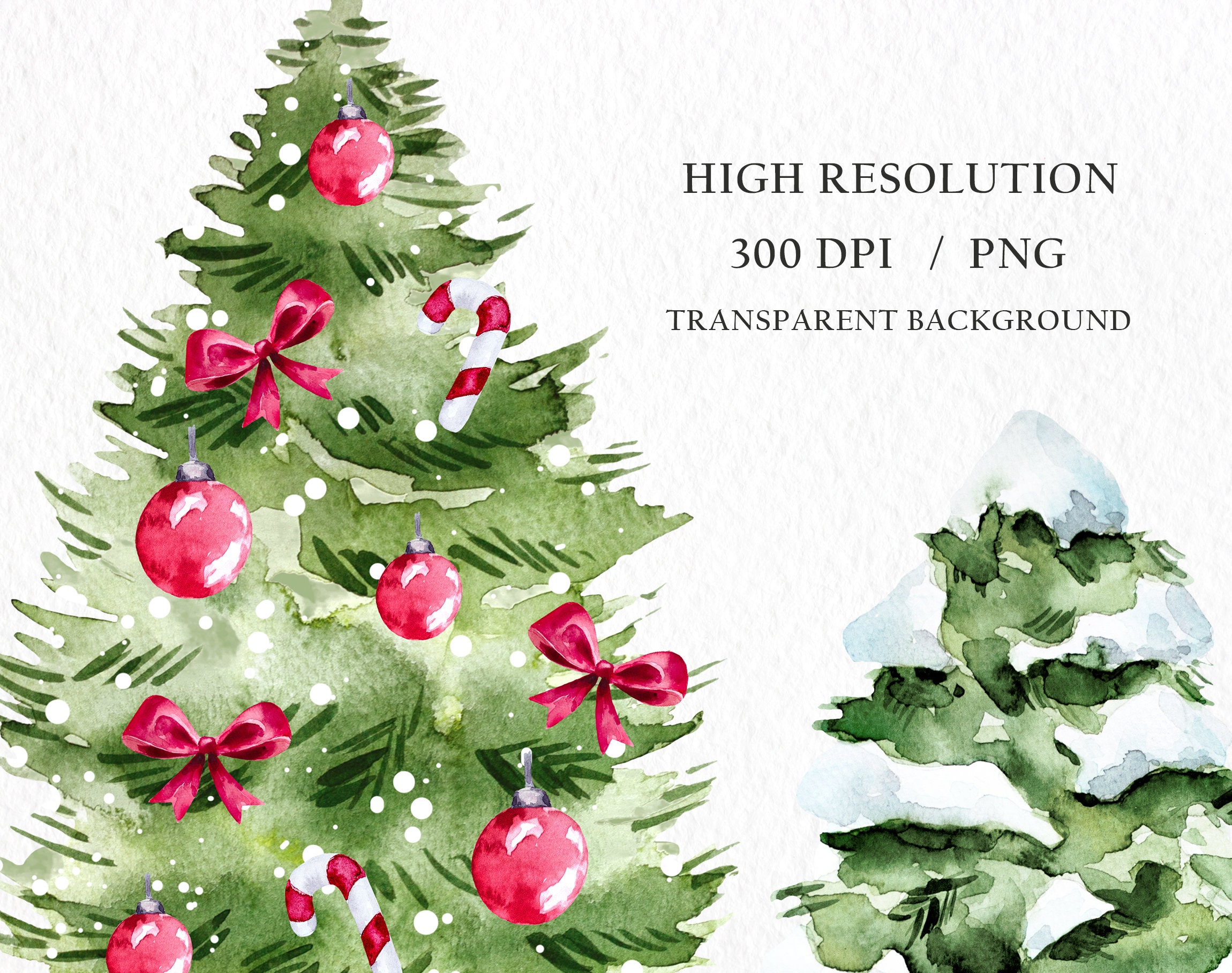 Watercolor Christmas Tree Clipart PNG Winter Holiday Clipart Digital ...