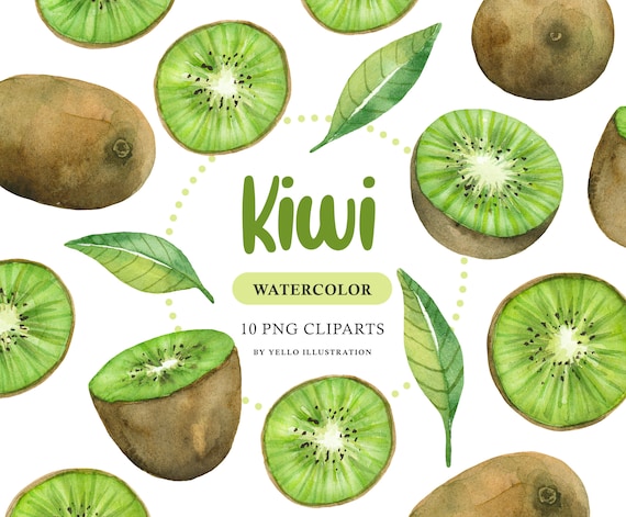 Watercolor Tropical Fruit Clipart. Kiwi Image to Dessert Menu. | Etsy
