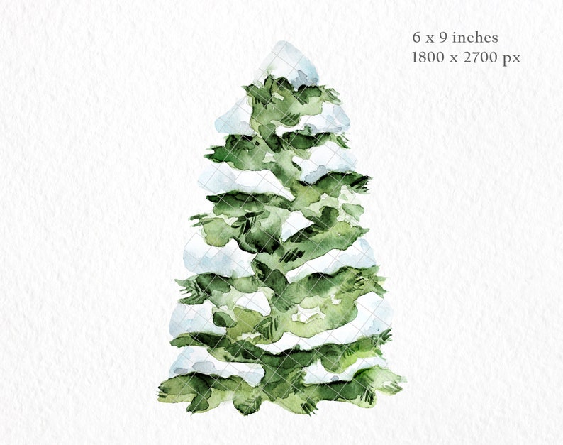 Watercolor Christmas Tree Clipart PNG Winter Holiday Clipart - Etsy