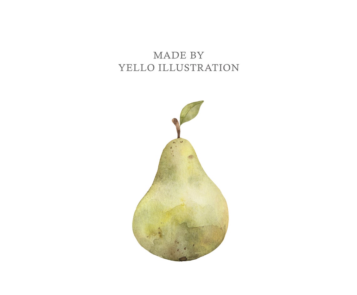 Hand Drawn Watercolor With Pears. PNG Cliparts. Fresh Garden Fruit on ...