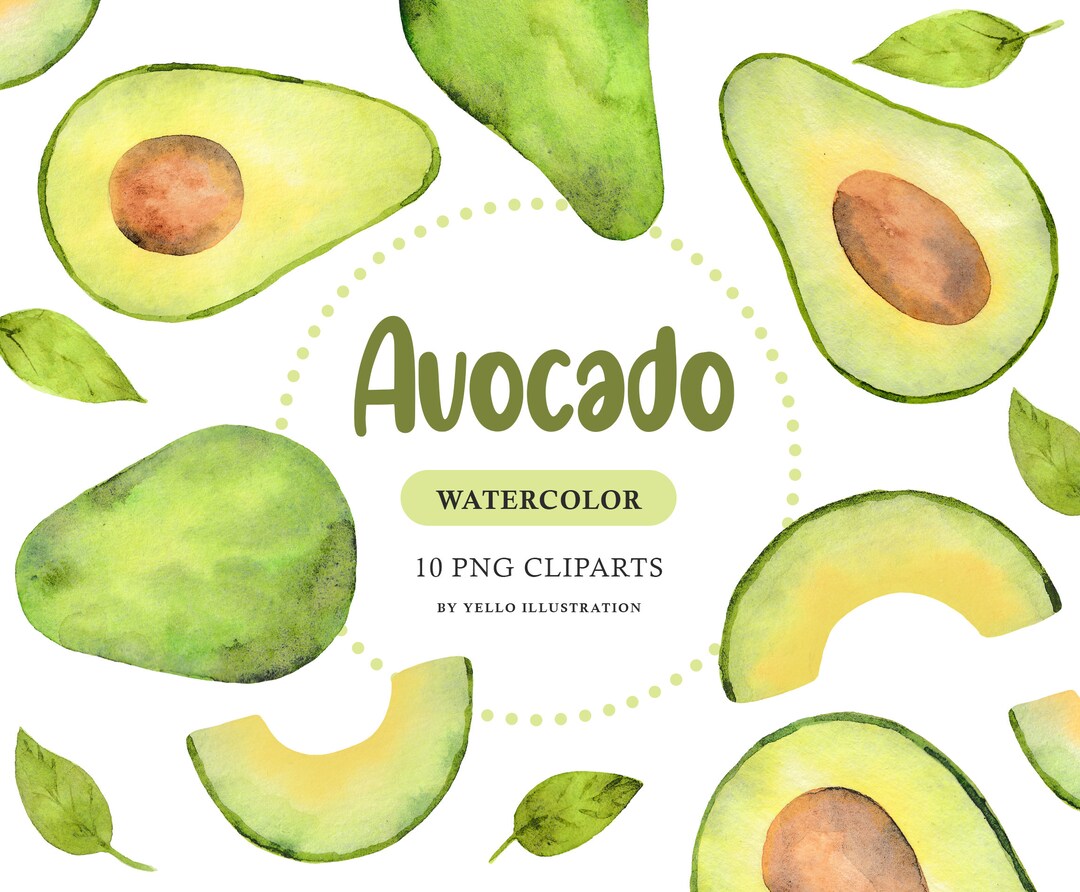 Watercolor Avocado Clipart, PNG Digital File, Green Food, INSTANT ...