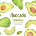 Watercolor Avocado Clipart, PNG Digital File, Green Food, INSTANT ...