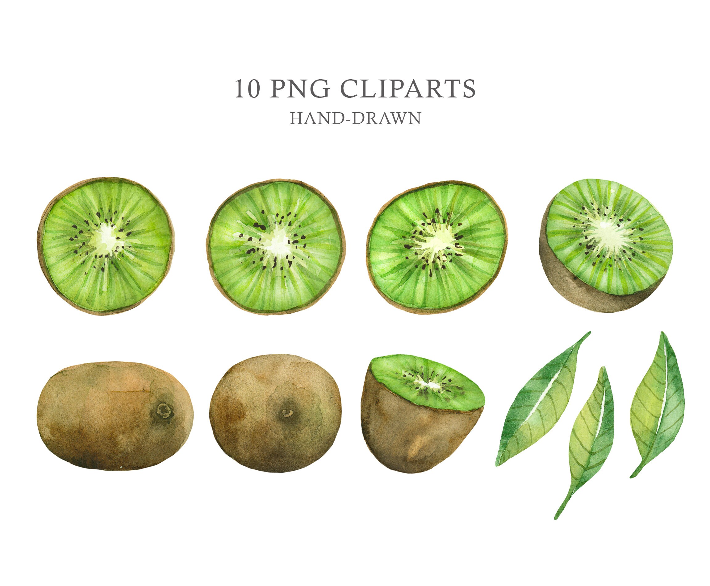 Watercolor Tropical Fruit Clipart. Kiwi Image to Dessert Menu. Motif ...