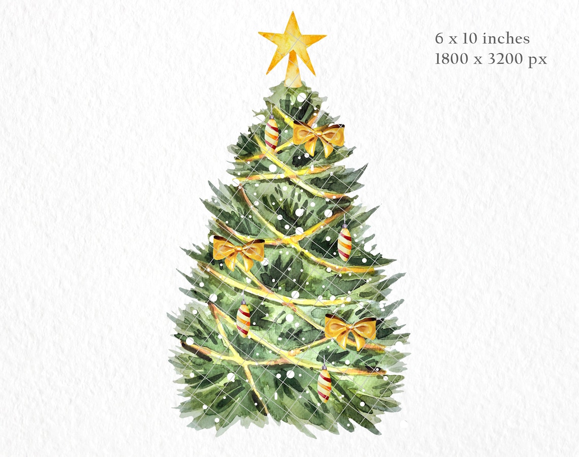 Watercolor Christmas Tree Clipart PNG Winter Holiday Clipart - Etsy
