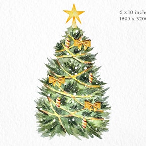 Watercolor Christmas Tree Clipart PNG Winter Holiday Clipart Digital ...