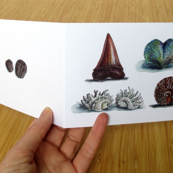 Fossil - Etsy