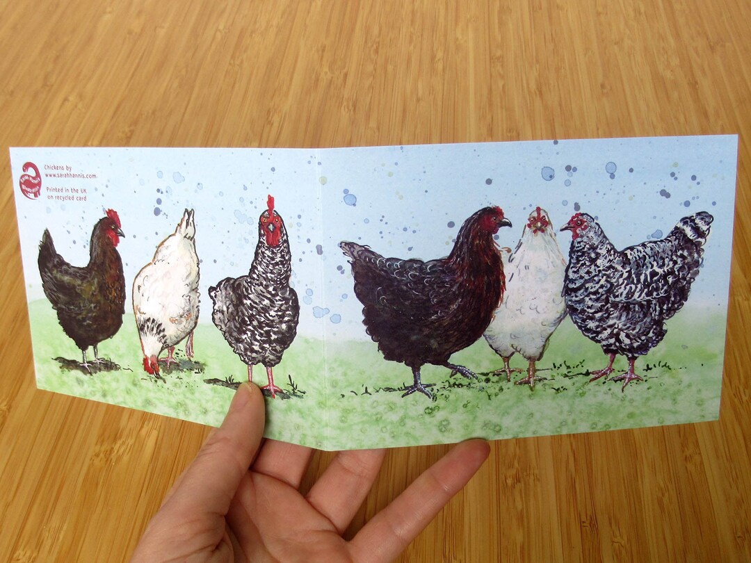 Chicken Card - Etsy