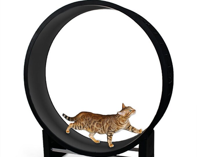 Cat Wheel Cat in Motion Anthracite - Etsy