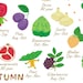Seasonal Food Guide PRINTABLE/ DOWNLOADABLE Educational Vegetable ...