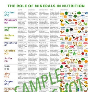 The Role of Minerals in Nutrition Chart/ 1 Page Pdf / DIGITAL DOWNLOAD/ Patient Education, Quick ...