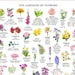 Flower Meaning Reference Chart, PRINTABLE / INSTANT DOWNLOAD Pdf, 'at-a ...