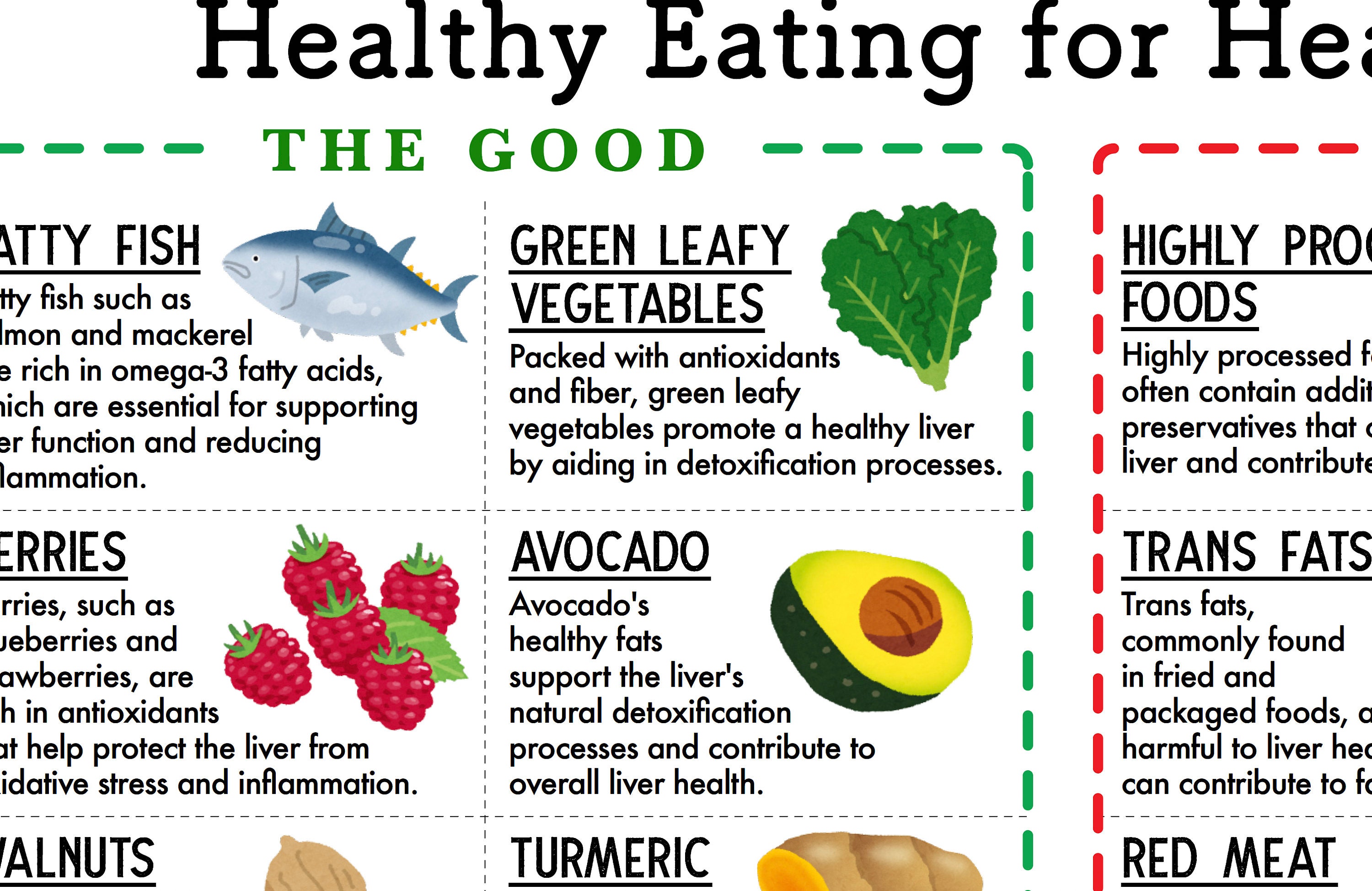 Liver Health Food Guide/ 2 Page Pdf PRINTABLE DOWNLOADS/ for Optimal ...
