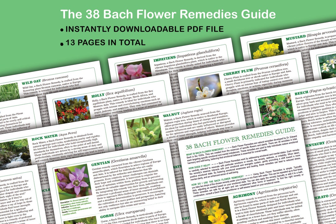 Comprehensive Bach Flower Remedies Guide/ Reference. 13 PAGE PDF ...