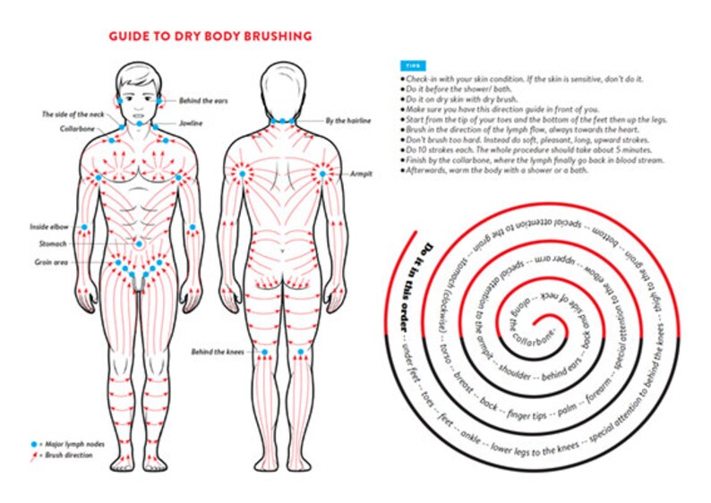 Dry Body Brushing Direction Guide MALE Version PRINTABLE/ - Etsy