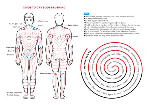 Dry Body Brushing Direction Guide MALE Version PRINTABLE/ - Etsy