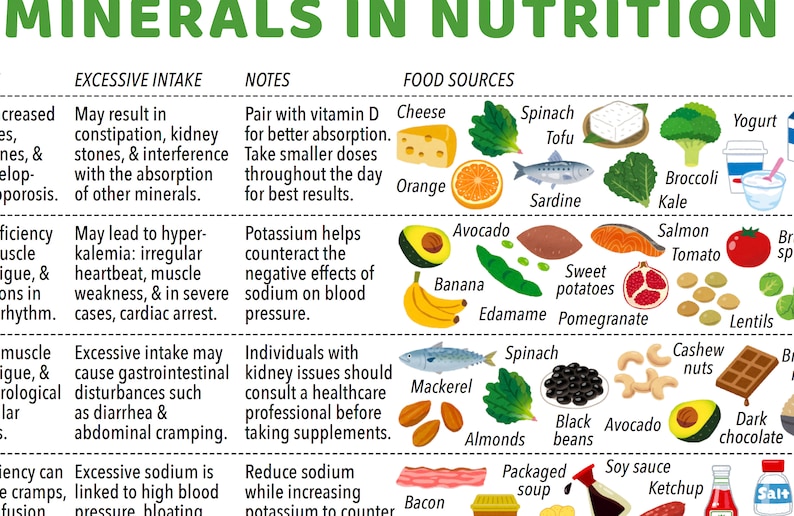 The Role of Minerals in Nutrition Chart/ 1 Page Pdf / DIGITAL DOWNLOAD ...