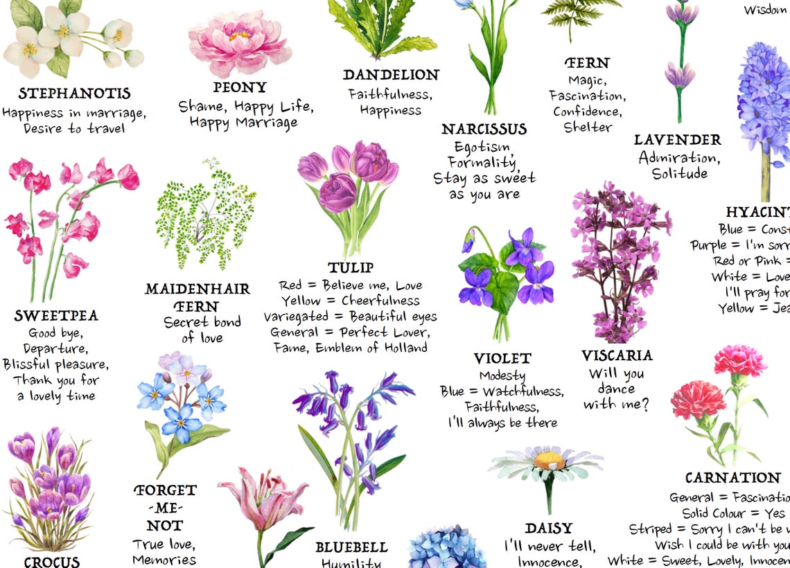 Flower Meaning Reference Chart, PRINTABLE / INSTANT DOWNLOAD Pdf, 'at-a ...