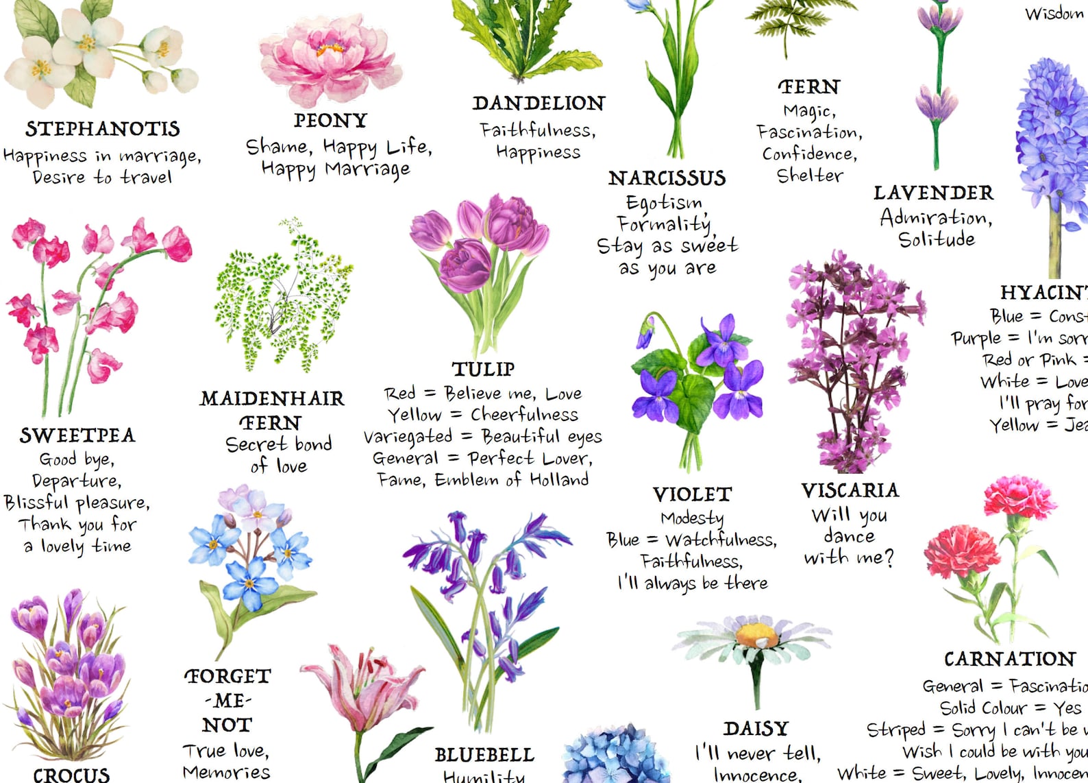 Flower Meaning Reference Chart, PRINTABLE / INSTANT DOWNLOAD Pdf, 'at-a ...