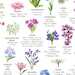 Flower Meaning Reference Chart, PRINTABLE / INSTANT DOWNLOAD Pdf, 'at-a ...