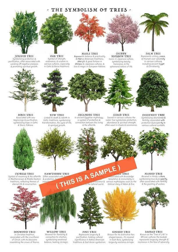 Tree Meaning Reference Chart, PRINTABLE / INSTANT DOWNLOAD Pdf, 'at-a ...