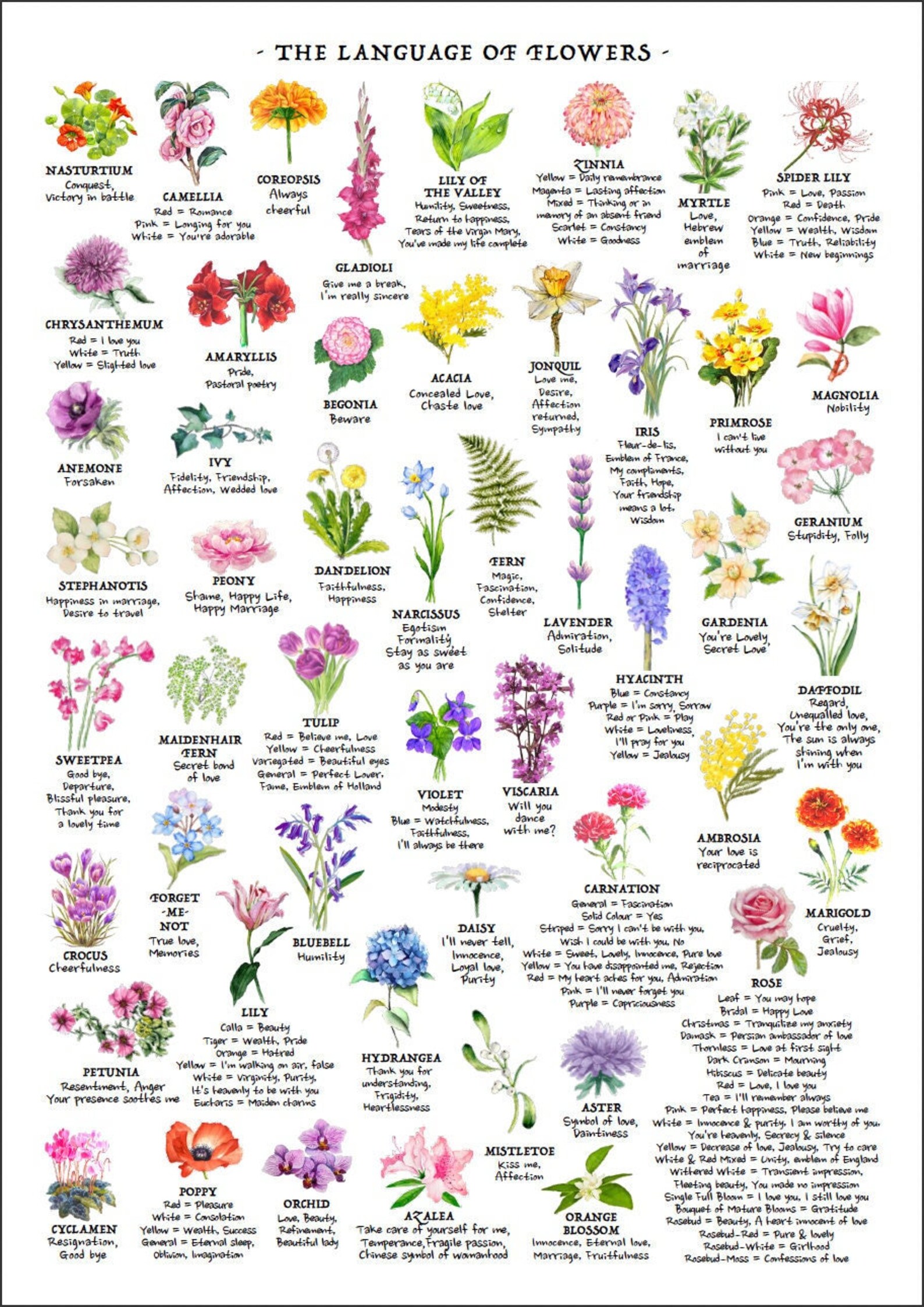 Flower Meaning Reference Chart PRINTABLE / INSTANT DOWNLOAD - Etsy ...