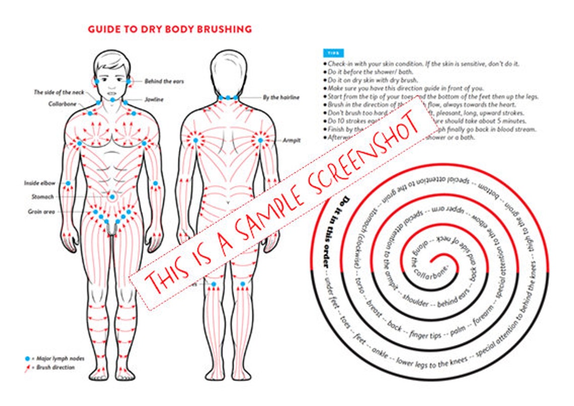 Dry Body Brushing Direction Guide MALE Version, PRINTABLE/ DOWNLOADABLE ...