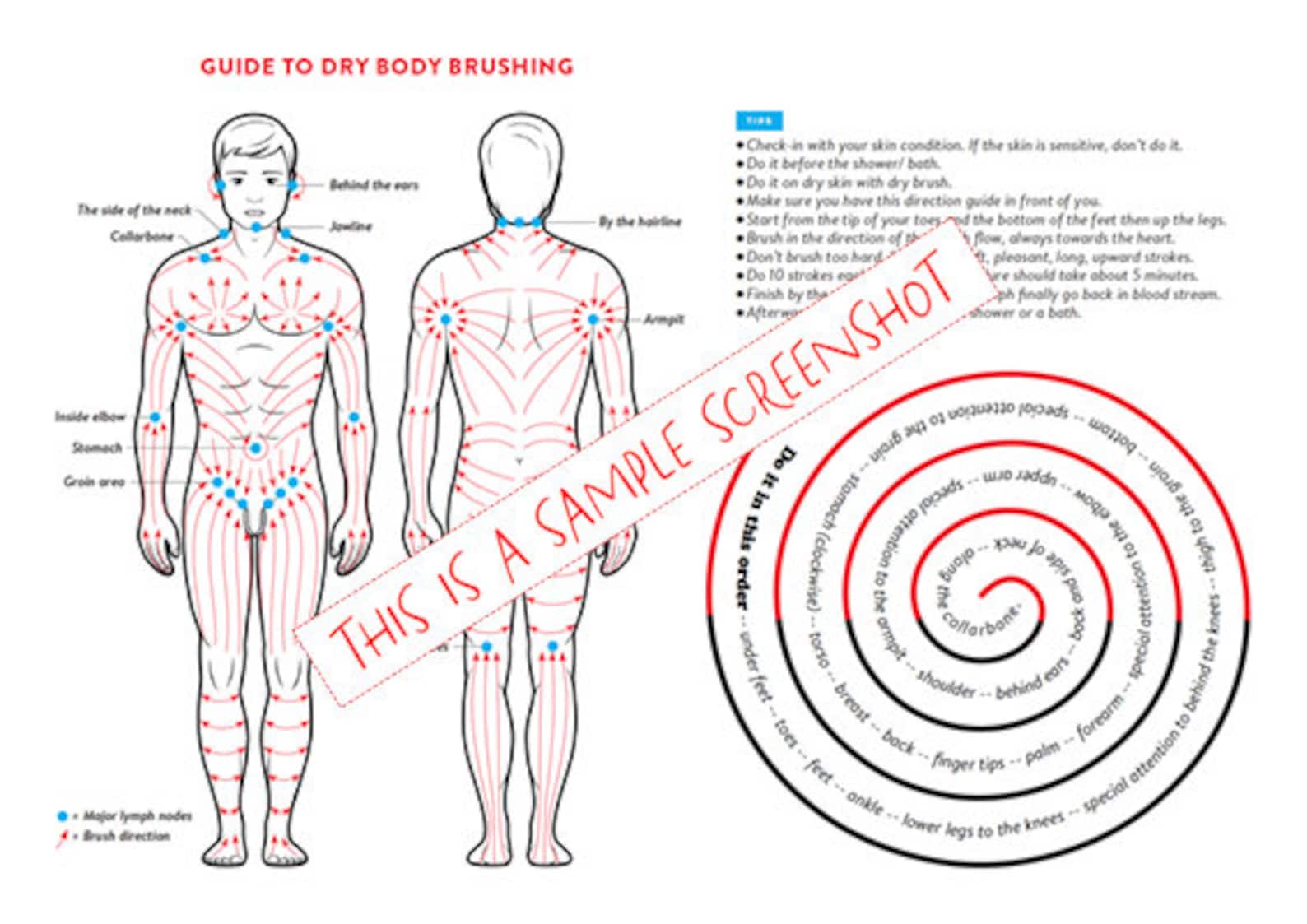 Dry Body Brushing Direction Guide MALE Version, PRINTABLE/ DOWNLOADABLE ...