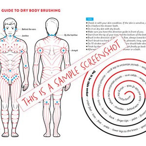Dry Body Brushing Direction Guide MALE Version, PRINTABLE/ DOWNLOADABLE ...