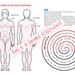 Dry Body Brushing Direction Guide MALE Version, PRINTABLE/ DOWNLOADABLE ...