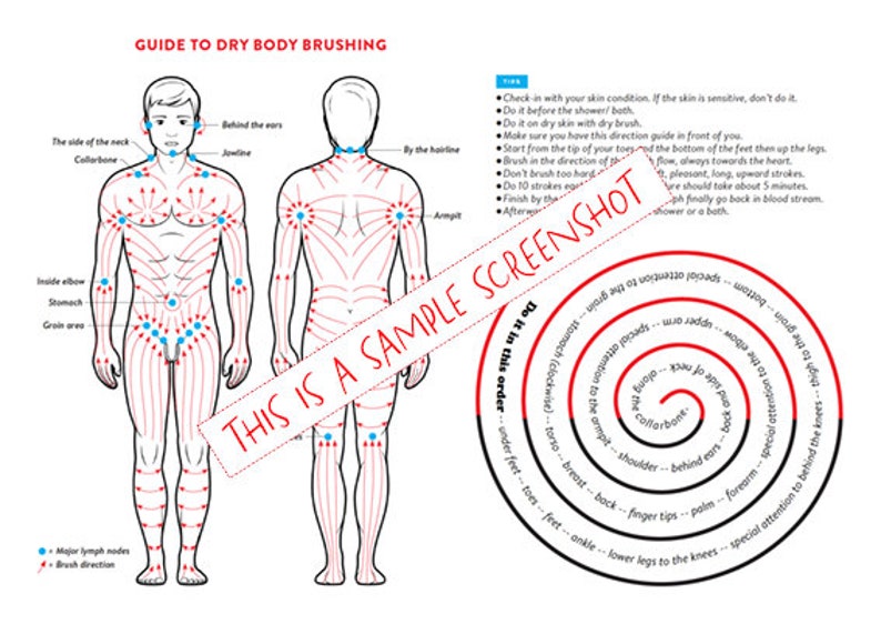 Dry Body Brushing Direction Guide MALE Version, PRINTABLE/ DOWNLOADABLE ...
