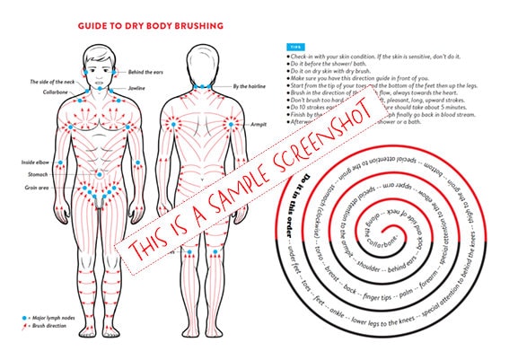 Dry Body Brushing Direction Guide MALE Version, Self-care, Lymphatic ...
