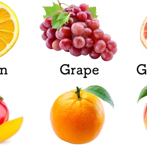 Food Groups Posters/ Set of 6 Pages. PRINTABLE PDF DOWNLOAD ...