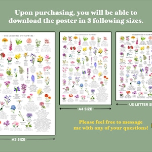 Flower Meaning Reference Chart, PRINTABLE / INSTANT DOWNLOAD Pdf, 'at-a ...