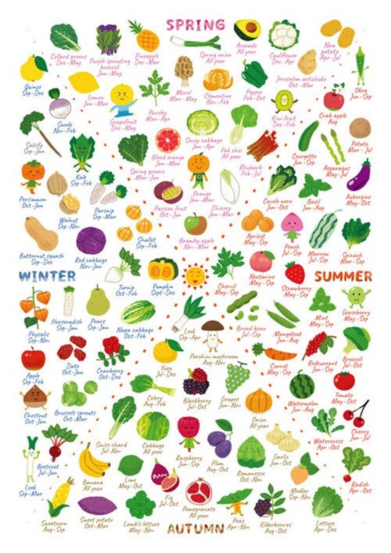 Infographic Seasonal Food