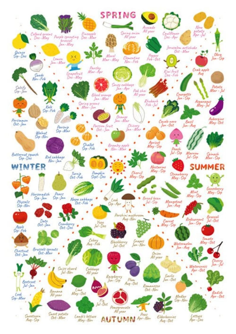Seasonal Food Guide PRINTABLE/ DOWNLOADABLE Educational - Etsy