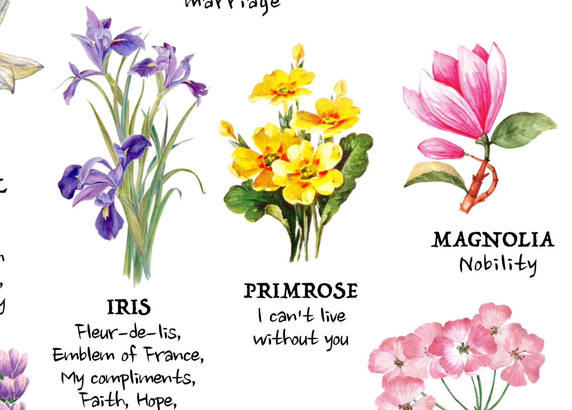 Flower Meaning Reference Chart, PRINTABLE / INSTANT DOWNLOAD Pdf, 'at-a ...