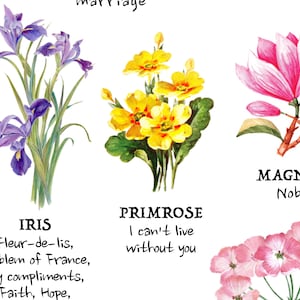 Flower Meaning Reference Chart, PRINTABLE / INSTANT DOWNLOAD Pdf, 'at-a ...