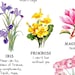 Flower Meaning Reference Chart, PRINTABLE / INSTANT DOWNLOAD Pdf, 'at-a ...