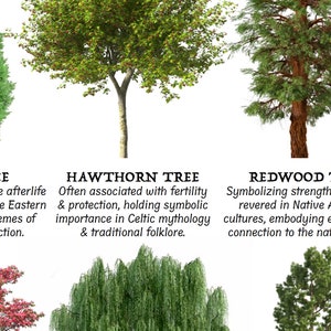 Tree Meaning Reference Chart, PRINTABLE / INSTANT DOWNLOAD Pdf, 'at-a ...