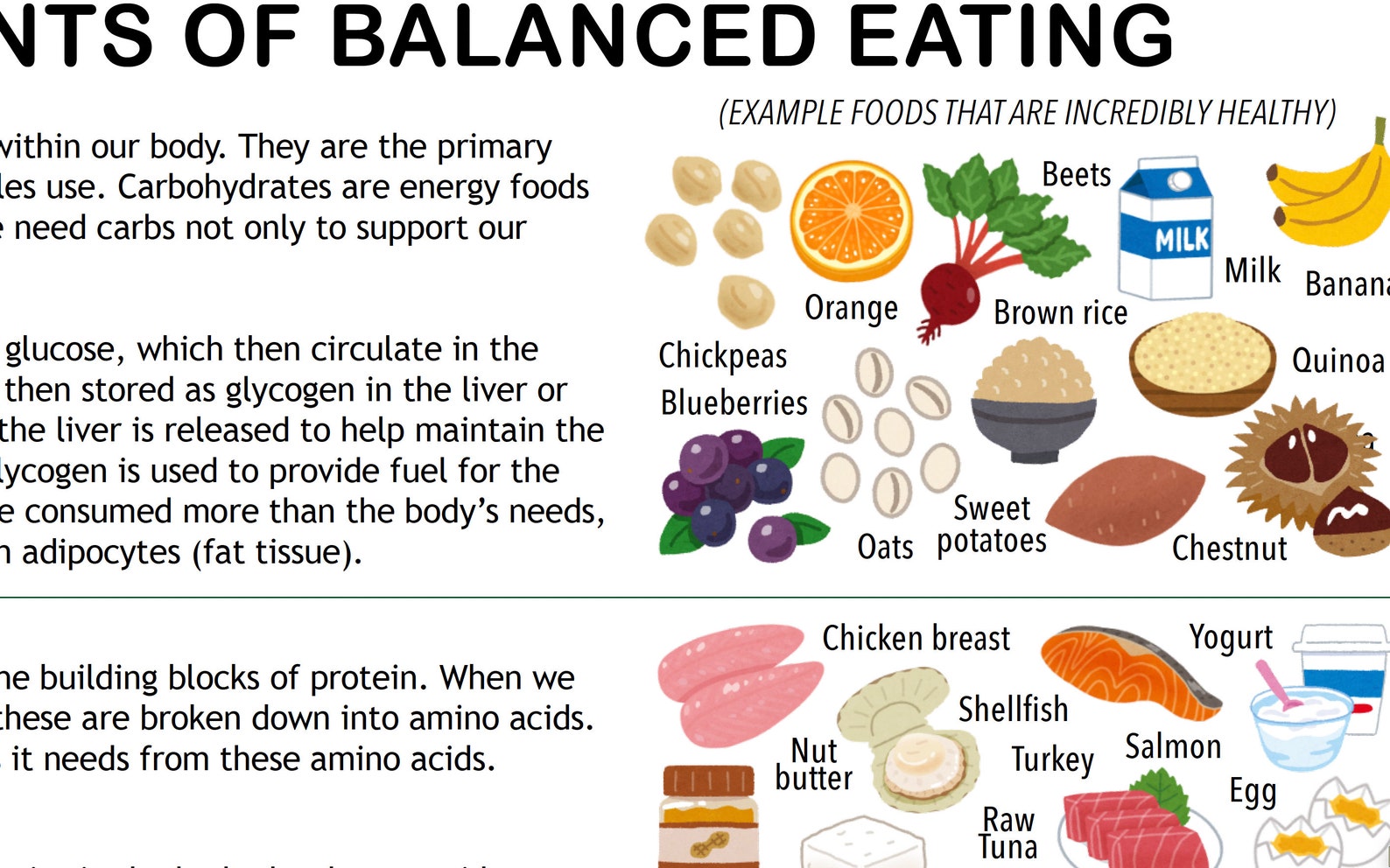 7 Components of Balanced Eating / List Poster / PRINTABLE DOWNLOADS ...