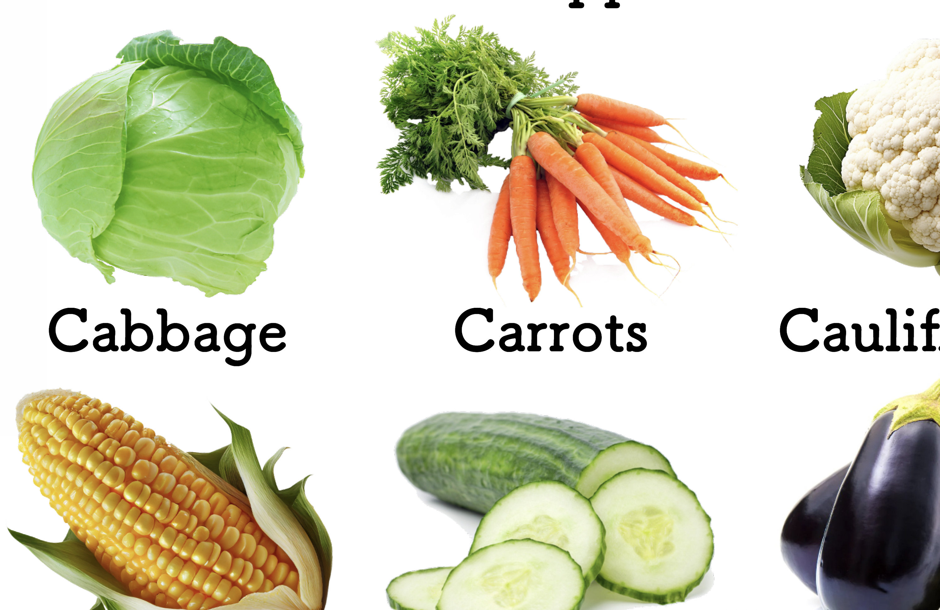 Food Groups Posters/ Set of 6 Pages. PRINTABLE PDF DOWNLOAD ...