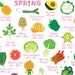 Seasonal Food Guide PRINTABLE/ DOWNLOADABLE Educational Vegetable ...
