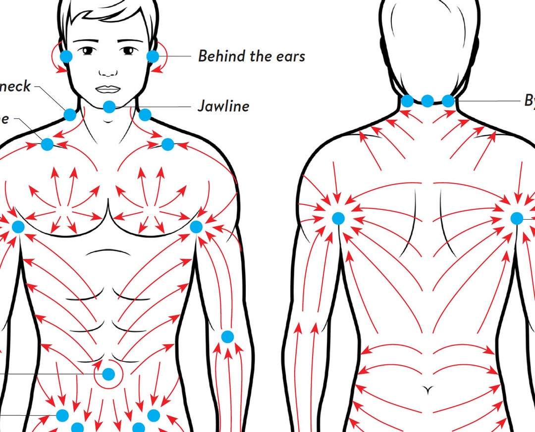 Dry Body Brushing Direction Guide MALE Version, PRINTABLE/ DOWNLOADABLE ...