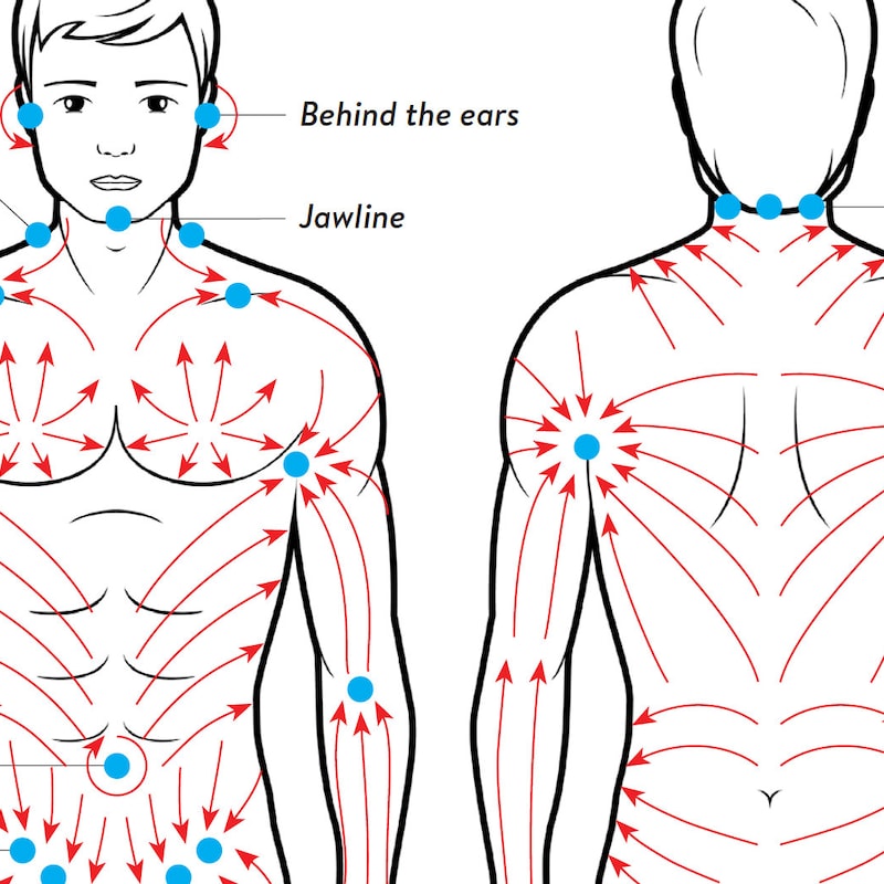 Lymphatic Drainage Map - Etsy
