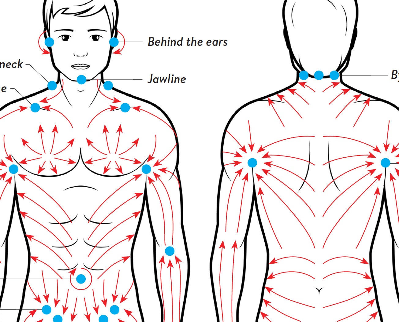 Dry Body Brushing Direction Guide MALE Version, PRINTABLE/ DOWNLOADABLE ... Dry Body Brushing Direction Guide MALE Version, PRINTABLE/ DOWNLOADABLE ...