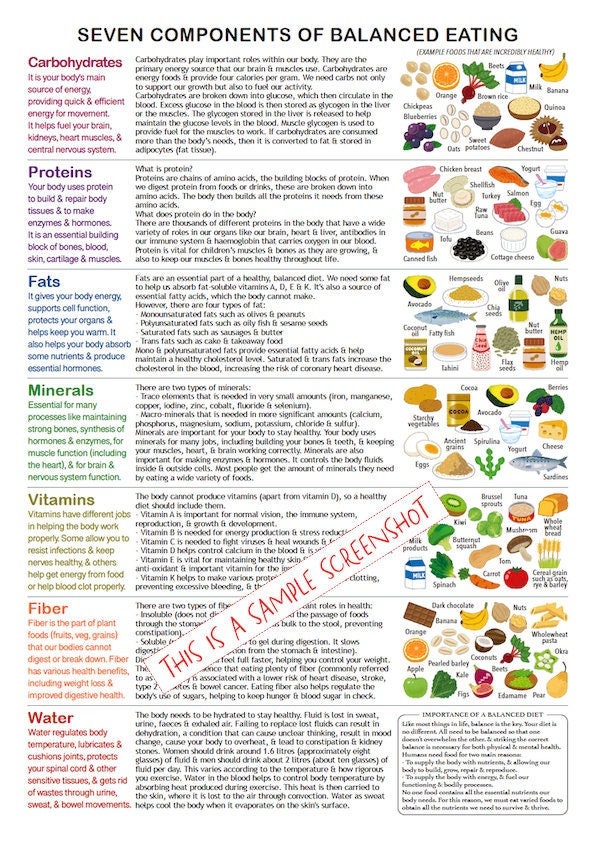 7 Components of Balanced Eating / List Poster / PRINTABLE DOWNLOADS / Patient Education, Cheat ...