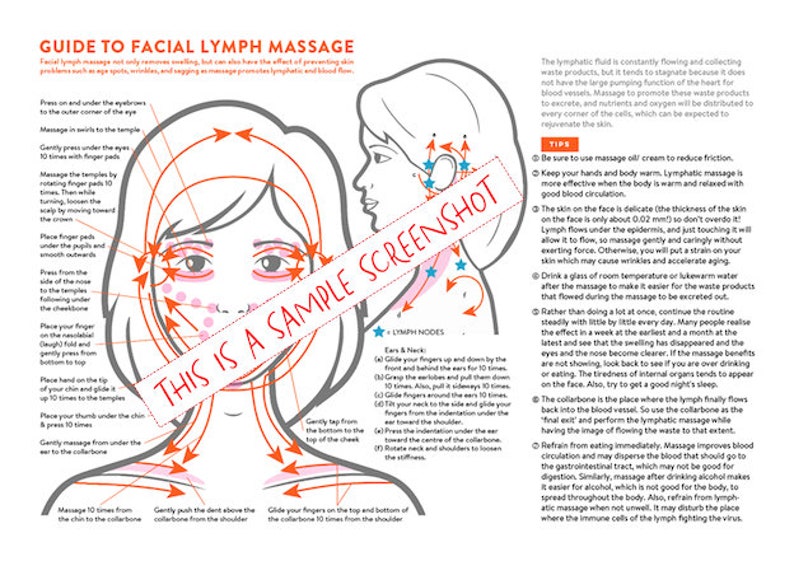 Facial Lymph Massage Direction Guide Poster, PRINTABLE/ INSTANT ...