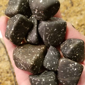 Black Spotted Jasper Tumbled Stone (1-piece) - Spotted Jasper - Mineral ...